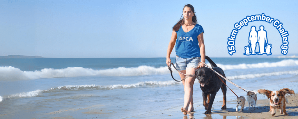 ISPCA 150km September Challenge - ISPCA