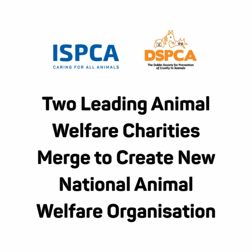 ISPCA - Working to protect animals in Ireland since 1949