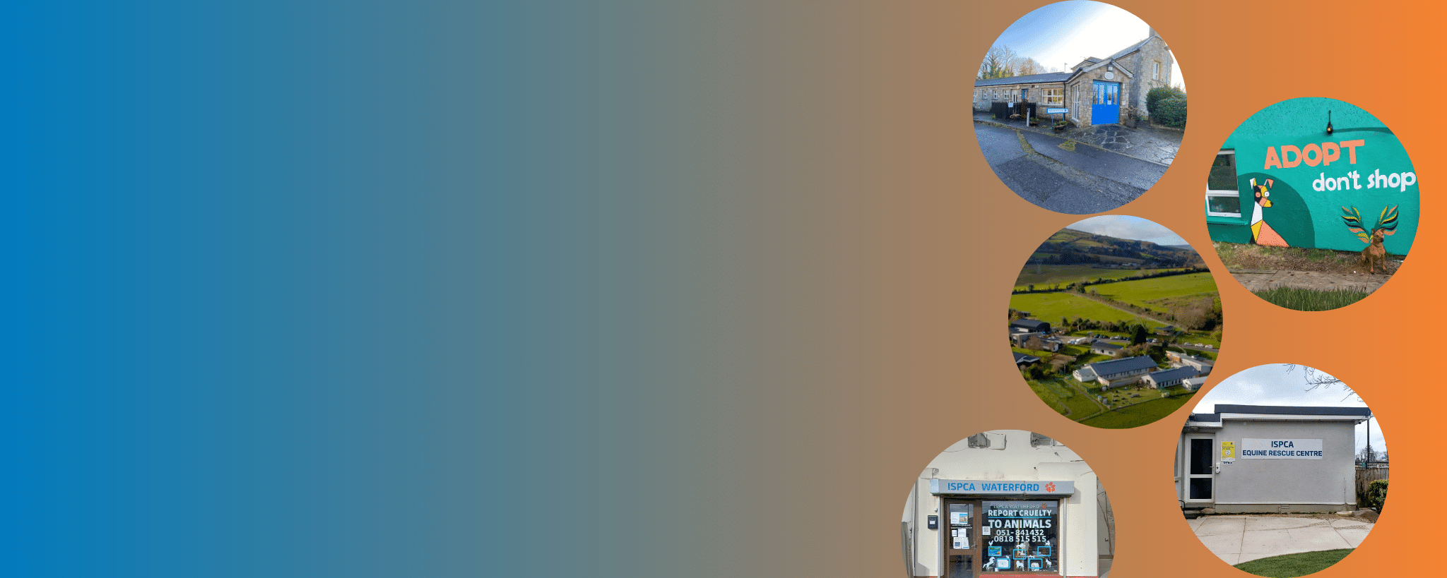 Animal Rescue and Rehabilitation Centres across Ireland - ISPCA