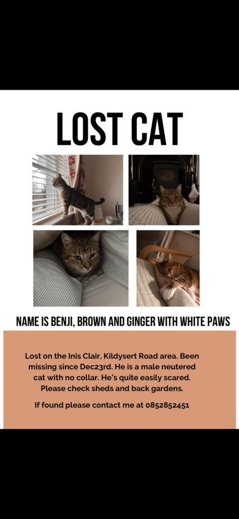 Missing Cat - ISPCA